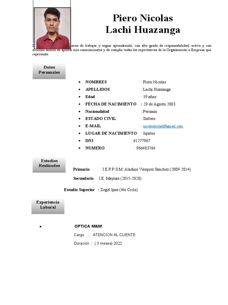 Curriculum Piero Nicolas Lachi | PDF