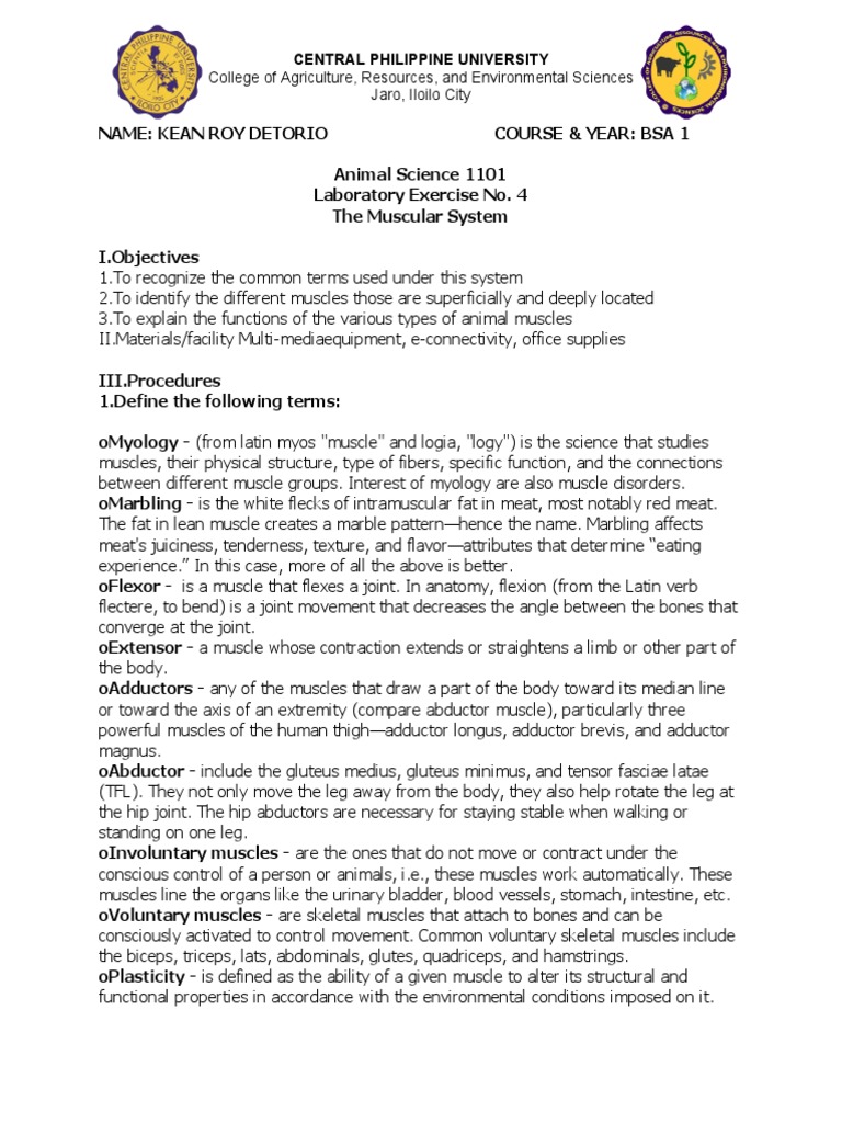Animal Science Muscular System Guide | PDF | Skeletal Muscle | Heart