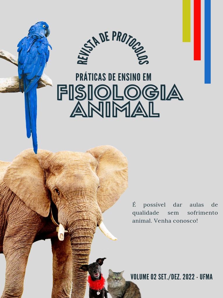 Revista - Fisio | PDF | Ciências e Matemática