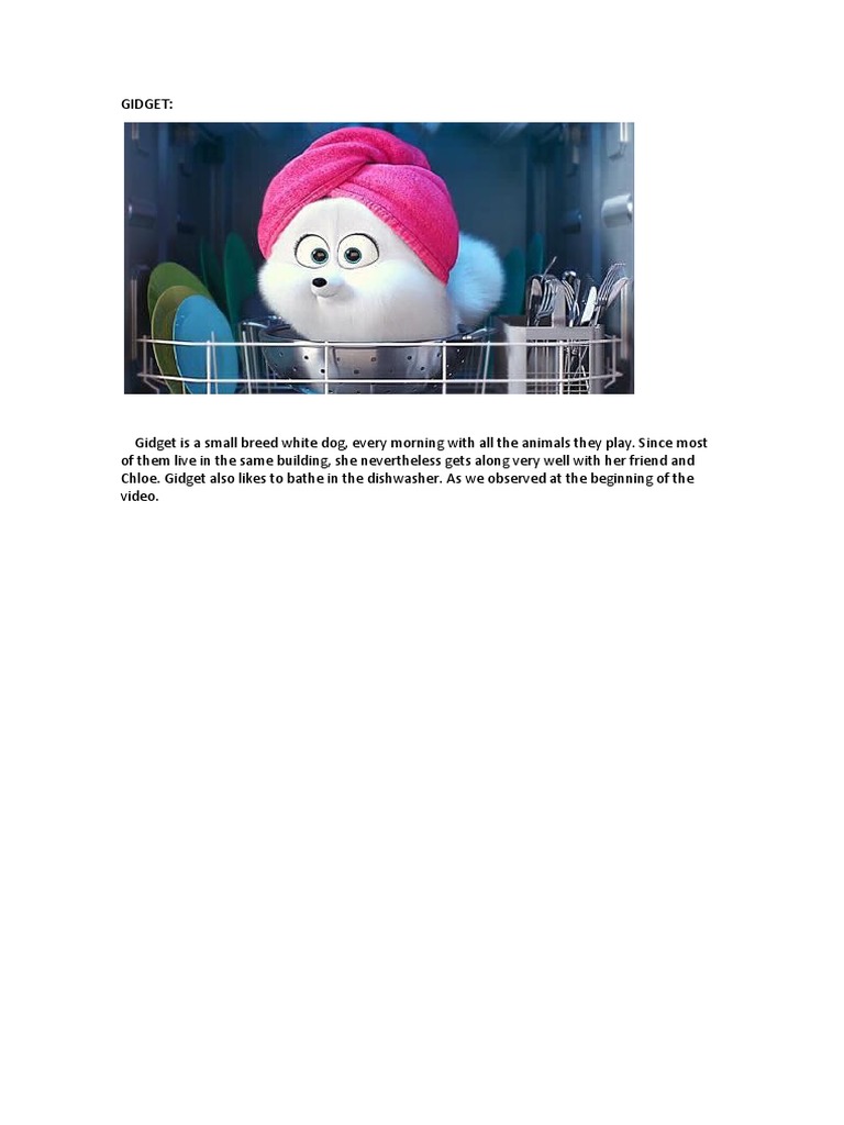 Gidget: Playful Small White Dog | PDF