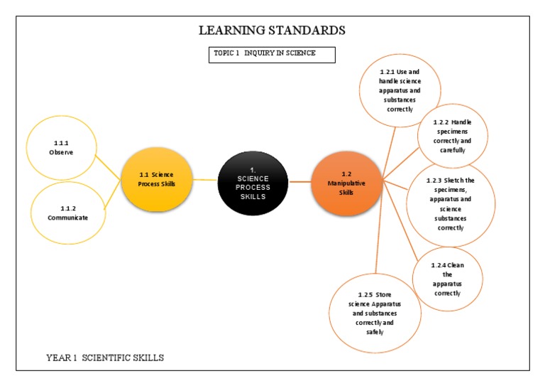 Scientific Skills, Year 1 - Mind Map | PDF | Science | Cognitive Science