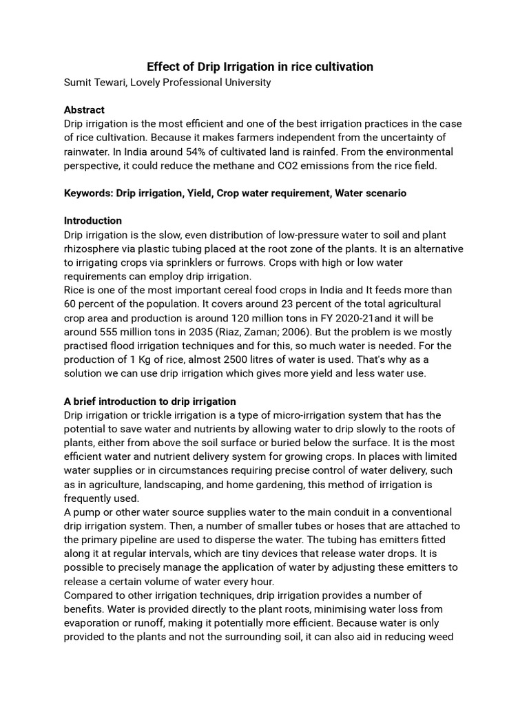 Effect of Drip Irrigation in Rice Cultivation | PDF | Irrigation ...