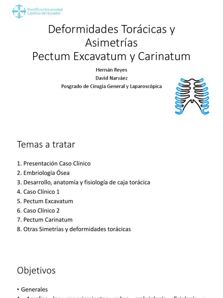 Deformidades Del Torax | PDF | Vértebra | El embarazo