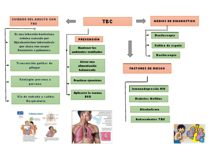 Cuidado Del Adulto Con TBC: Medios de Diagnostico | PDF