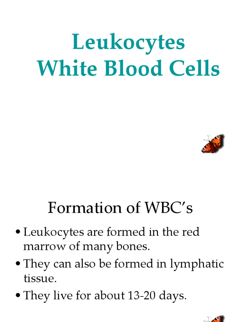 Understanding White Blood Cells and Disorders | PDF | Granulocyte ...