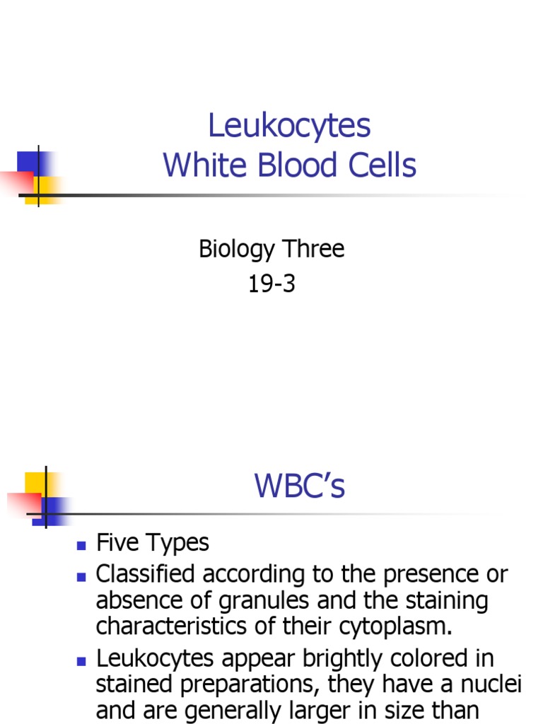Leukocytes White Blood Cells: Biology Three 19-3 | PDF | Wellness ...