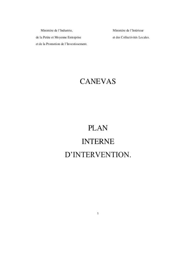 Canevas PII | PDF