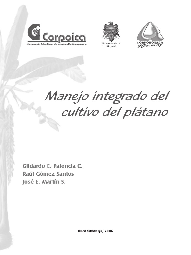 Cultivo de Platano | PDF | Fertilizante | Suelo