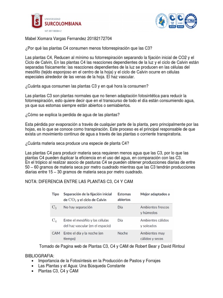 Plantas C3, C4 y CAM | PDF | Hogar, jardinería y bricolaje | Tecnología