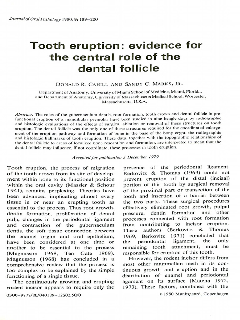 Tooth Eruption Evidence For The Central Role of The Dental Follicle ...