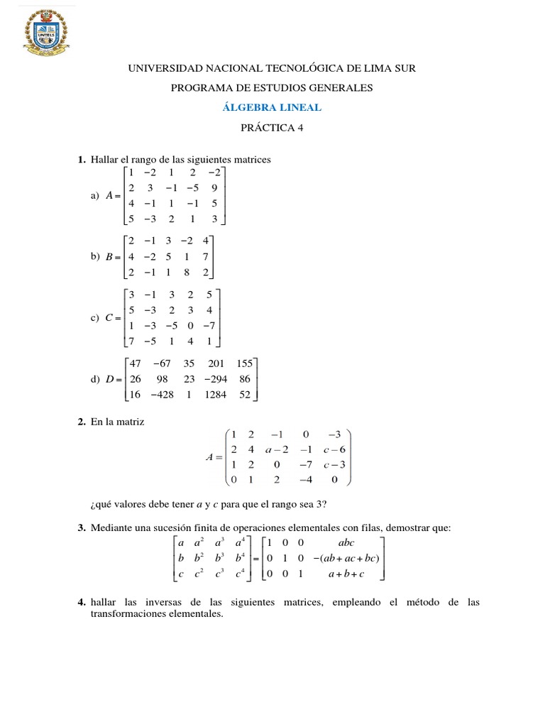 Práctica de Álgebra Lineal: Matrices y Rango | PDF | Álgebra ...