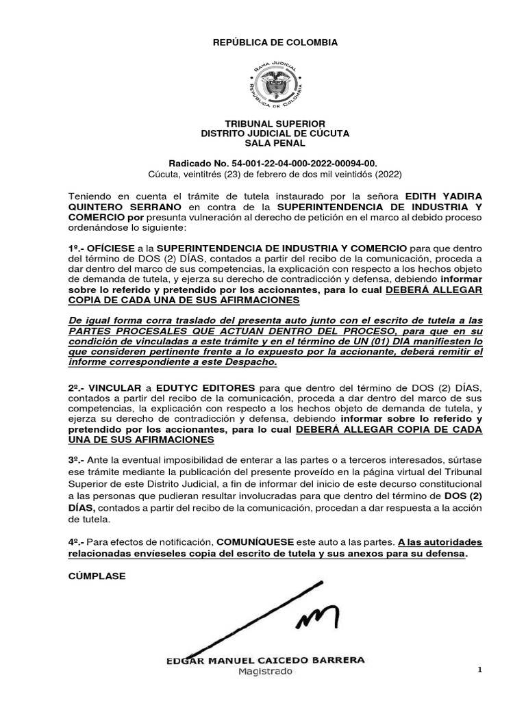 Demanda Sic | PDF | Debido al proceso | Petición