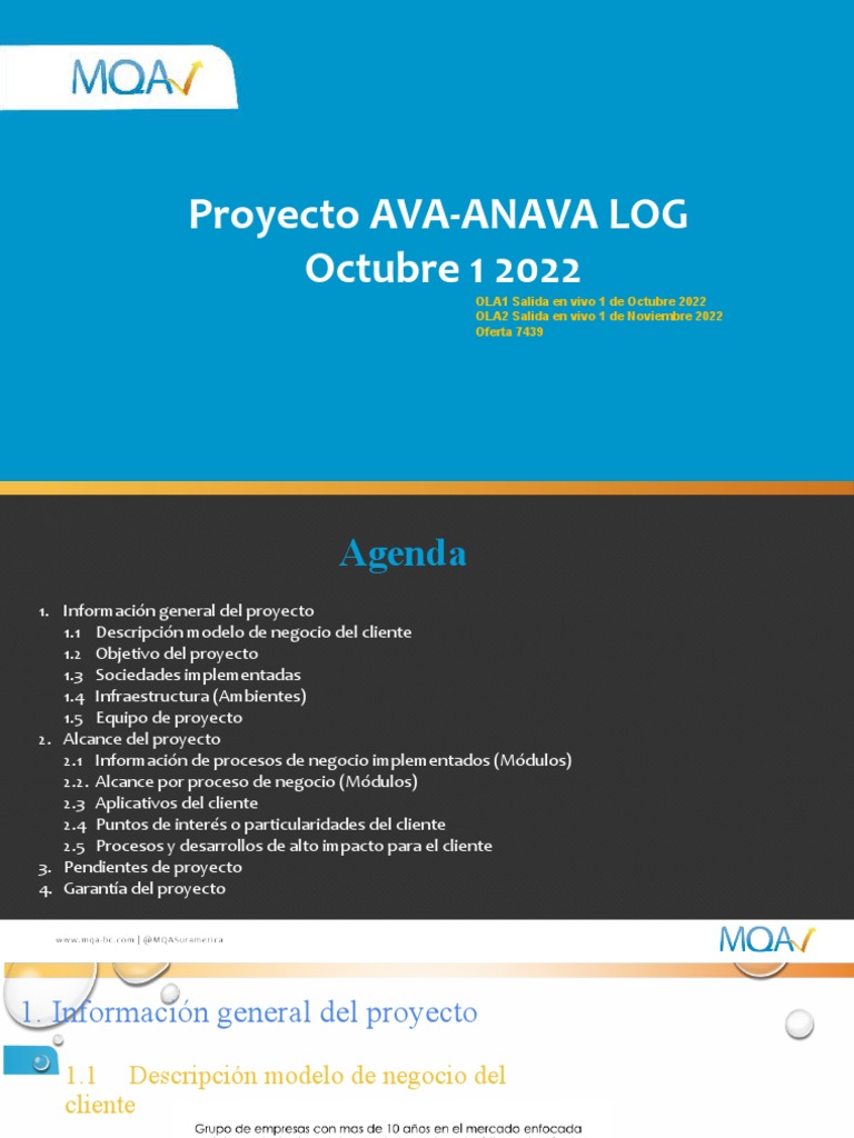 Presentación Entrega de Proyecto AVA V1 | PDF | Marketing | Gestión de tecnología de la información