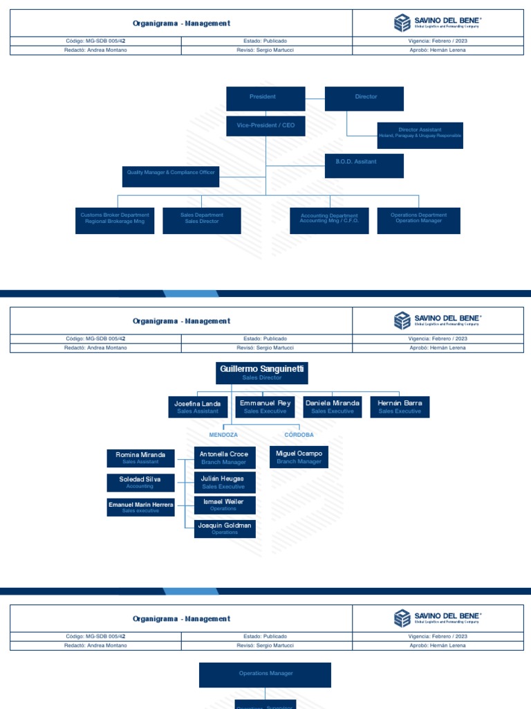 Company Management Structure | PDF