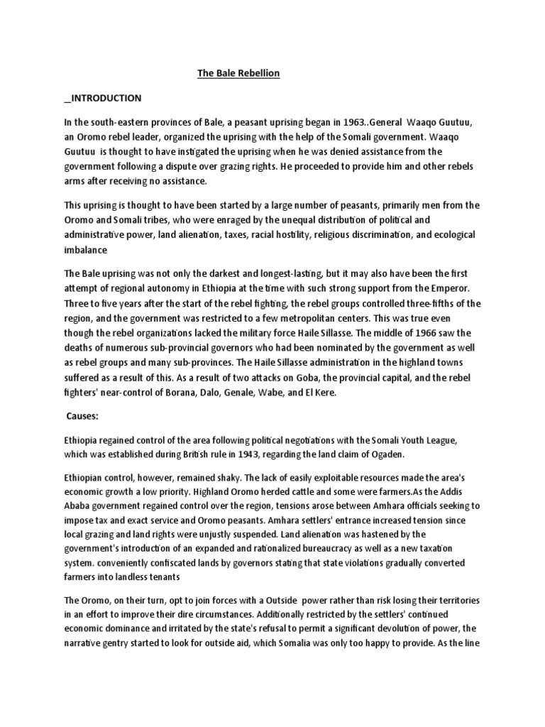 The Bale Rebellion: Causes | PDF | Ethiopia | Somalia