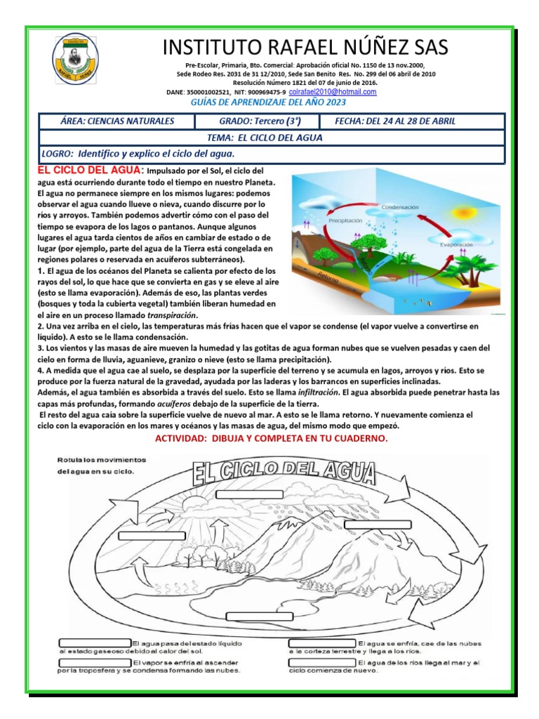 Guía de Ciencias Naturales Grado 3° | PDF | Agua | El ciclo del agua