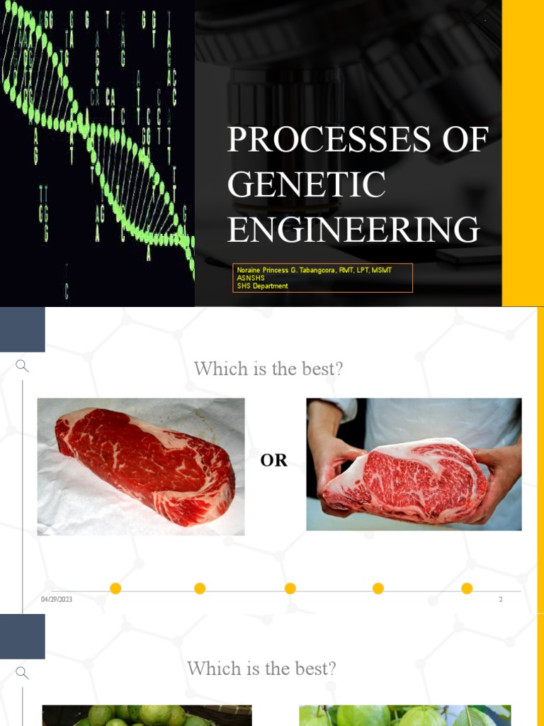 Processes of Genetic Engineering: Noraine Princess G. Tabangcora, RMT, LPT, MSMT Asnshs SHS ...
