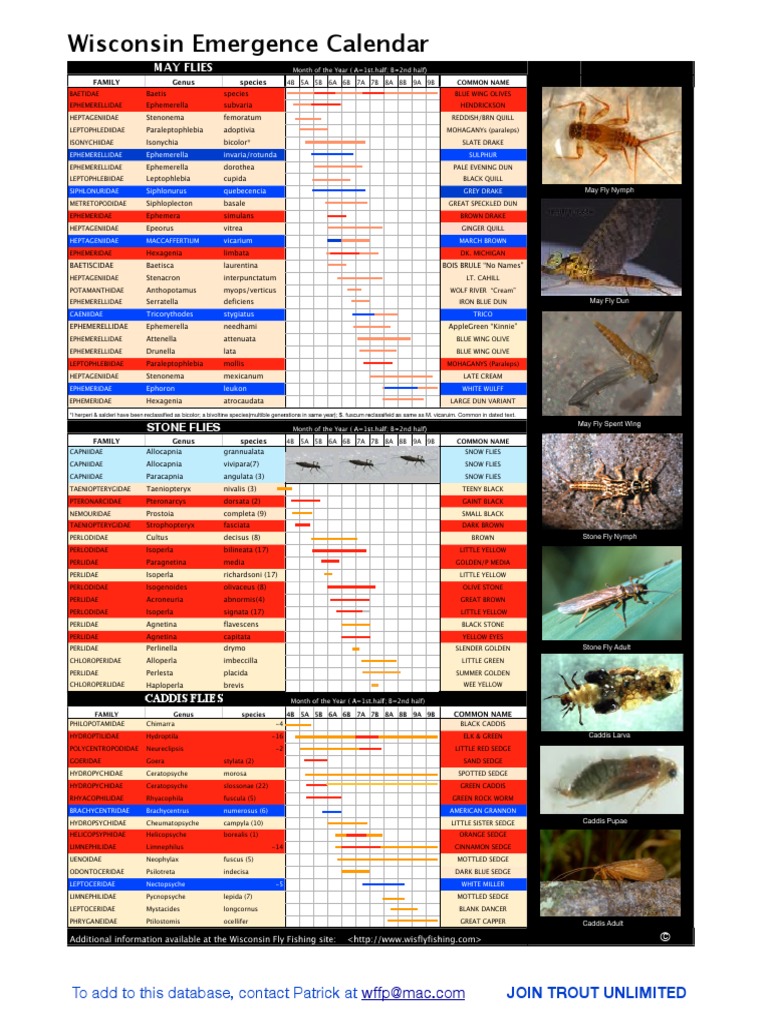 Emergence Calendar | PDF | Aquatic Animals | Insects