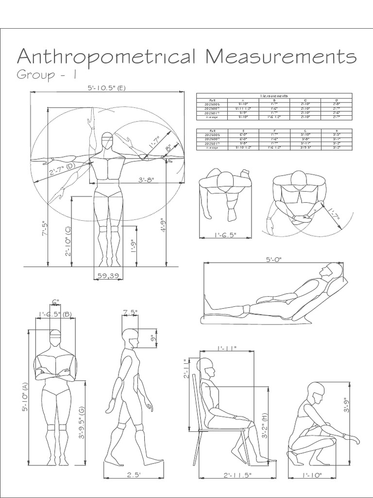 Anthropometric Measurements For Architecture Pdf