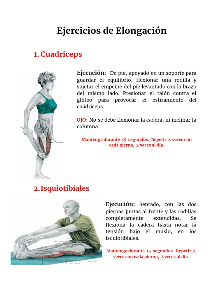 Ejercicios de Elongación | PDF | Rodilla | Pie