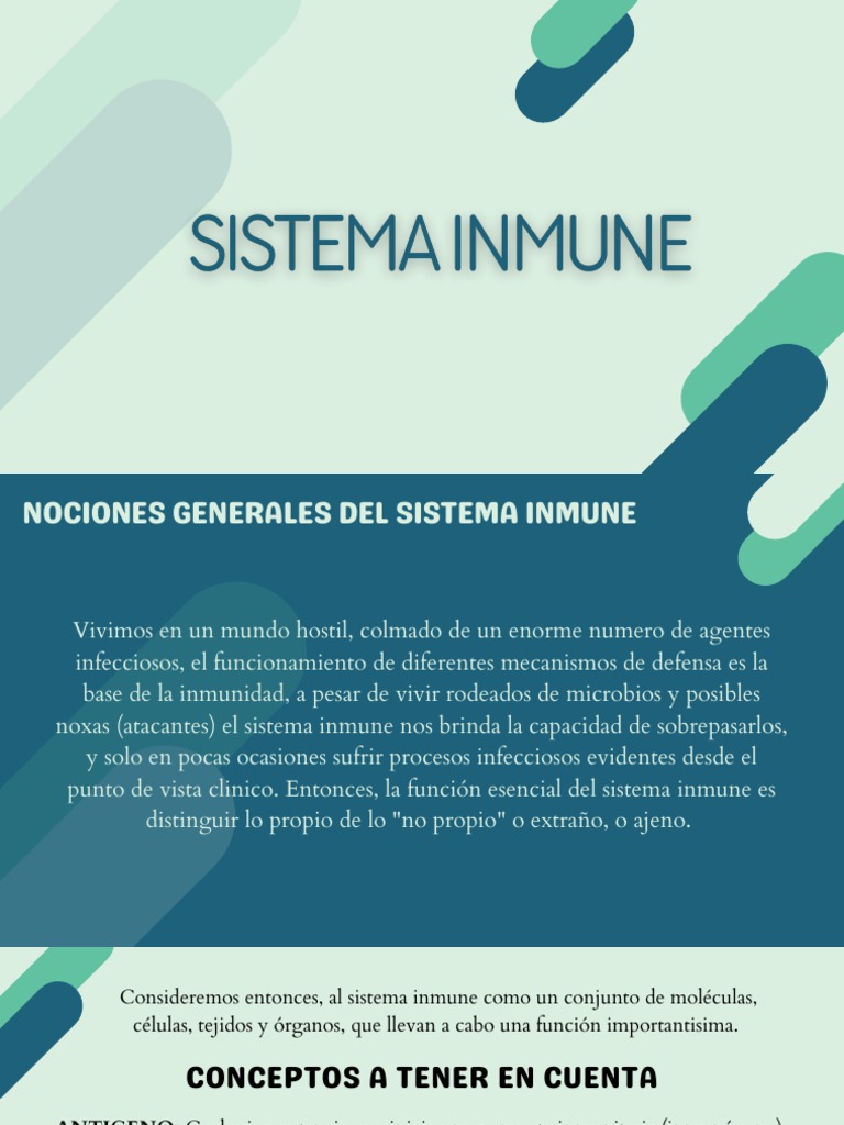 Introducción a los conceptos básicos del sistema inmune | PDF | Sistema inmune | Linfocitos