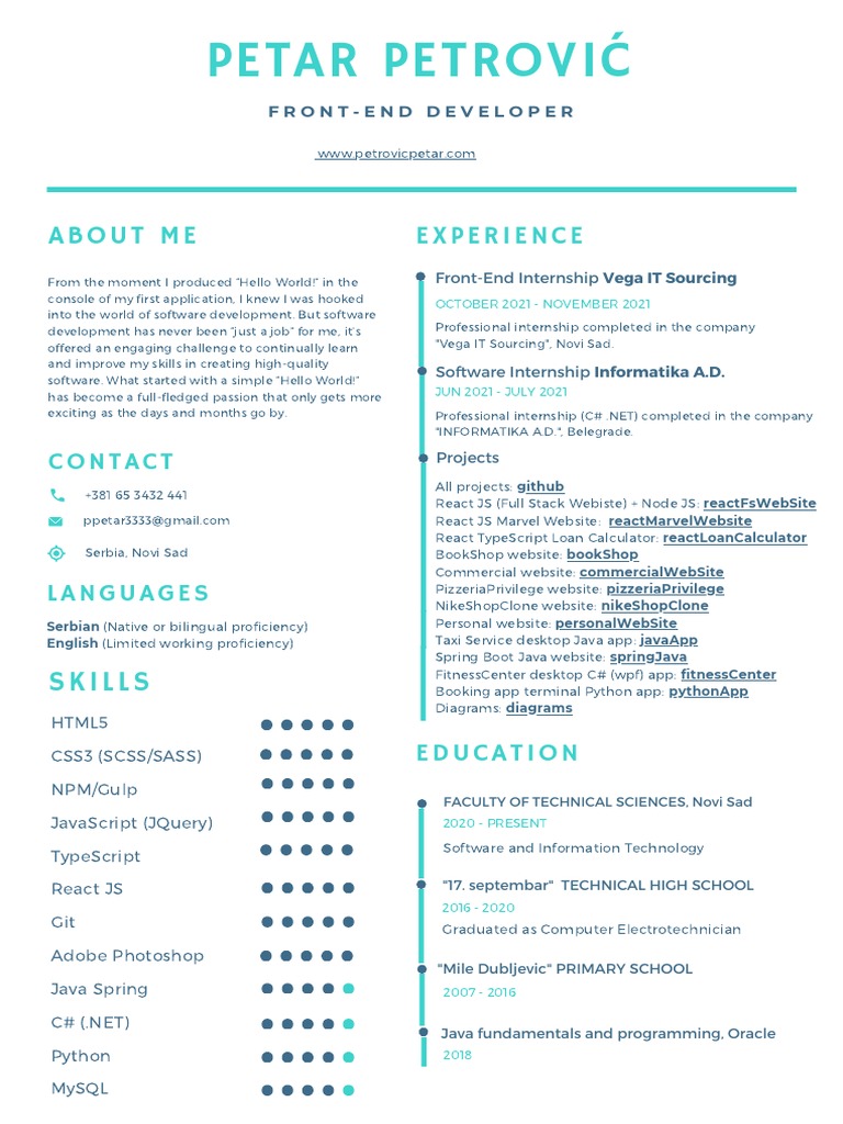 CV - Petar Petrovic | PDF