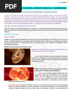 Signo de Godet | PDF | Edema | Enfermería