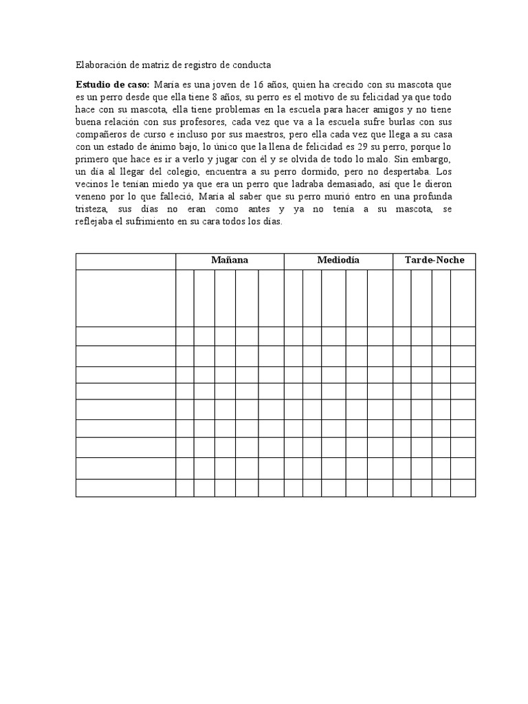 Elaboración de Matriz de Registro de Conducta | PDF