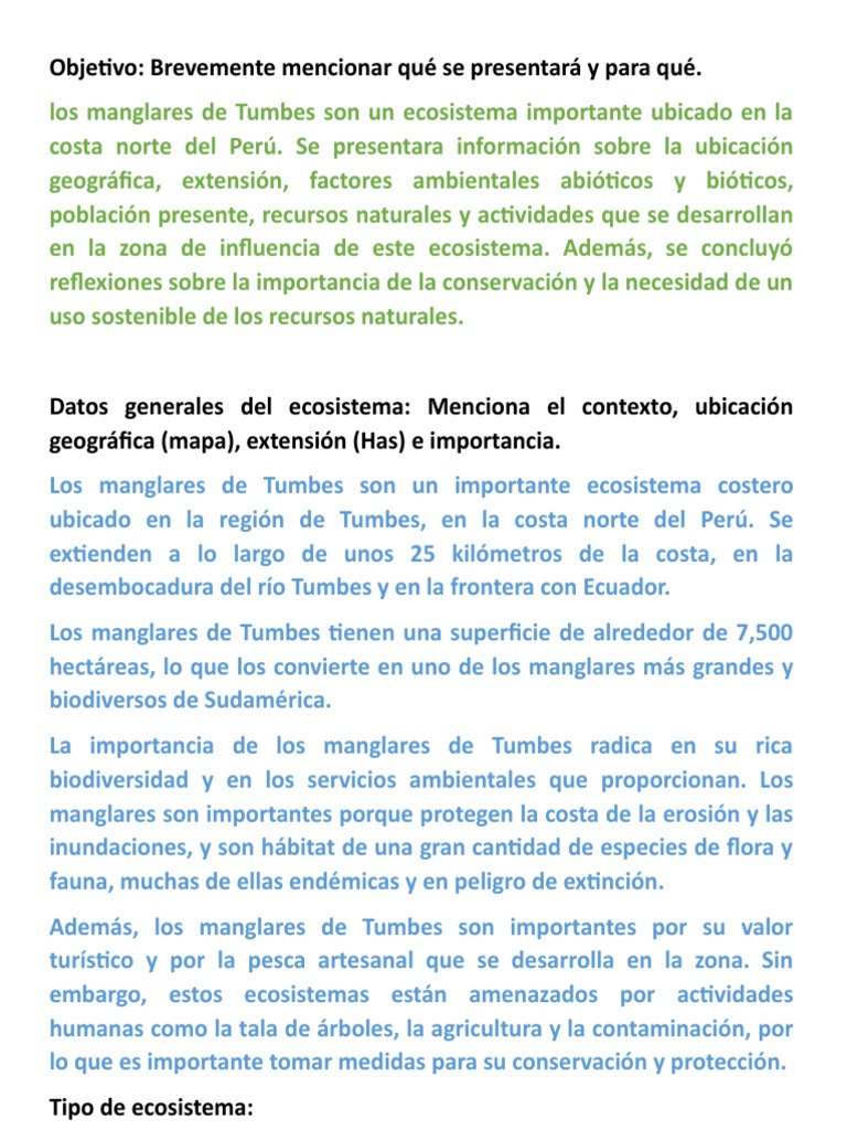 Ecosistema Manglar | PDF | Mangle | Ciencia medioambiental