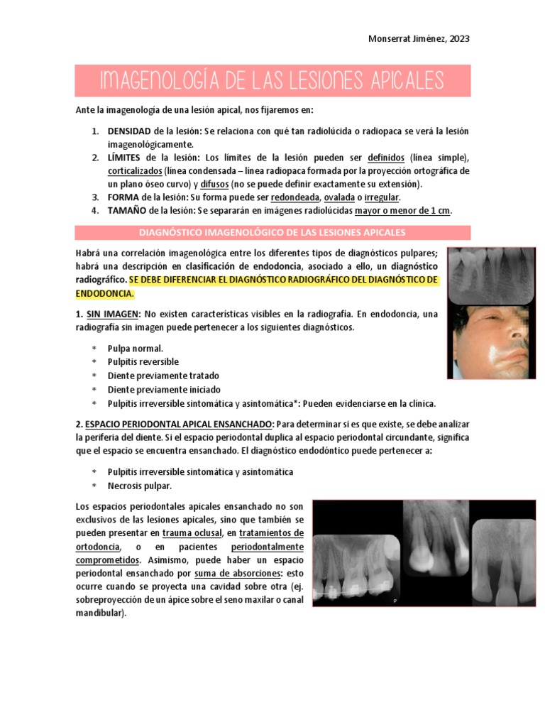 Imagenología de Las Lesiones Apicales (Falta Complementar) | PDF ...