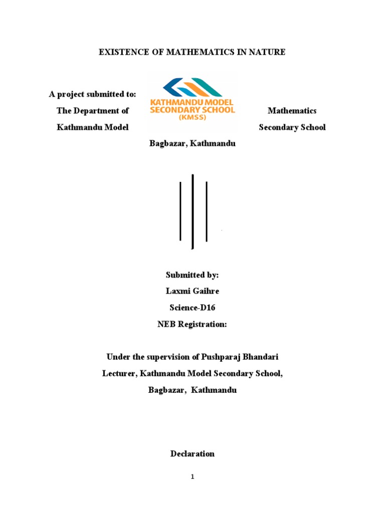 Existence of Mathematics in Nature, Class 11 | PDF | Shape | Symmetry