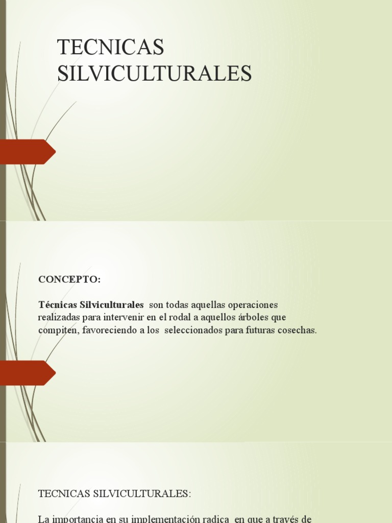 CLASE 5 TECNICAS SILVICULTURALES U5 Ex | PDF | Arboles | Veneno
