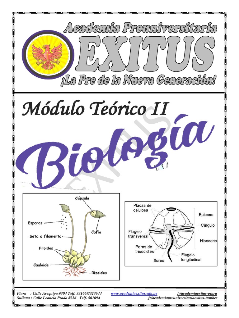 Módulo Teórico 2 | PDF | Hongo | Malaria