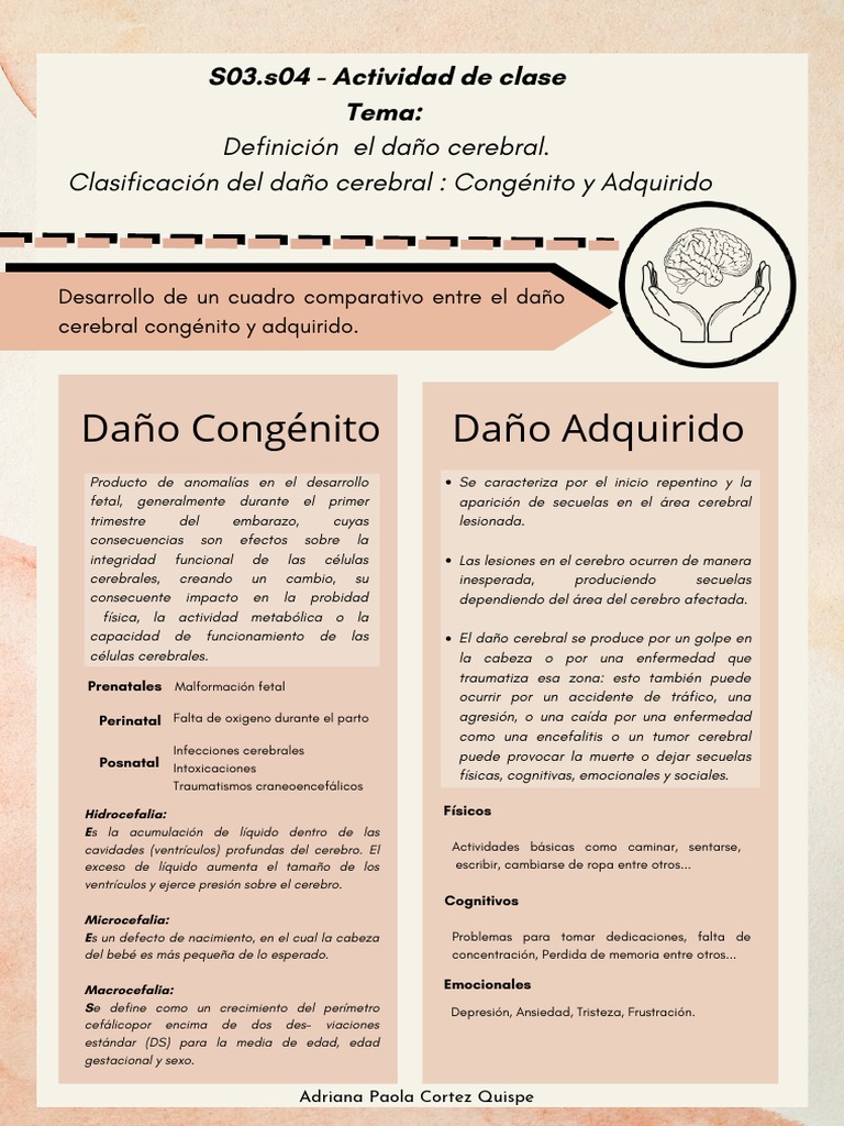 S03.s04 - Actividad de Clase Tema Definición El Daño Cerebral ...