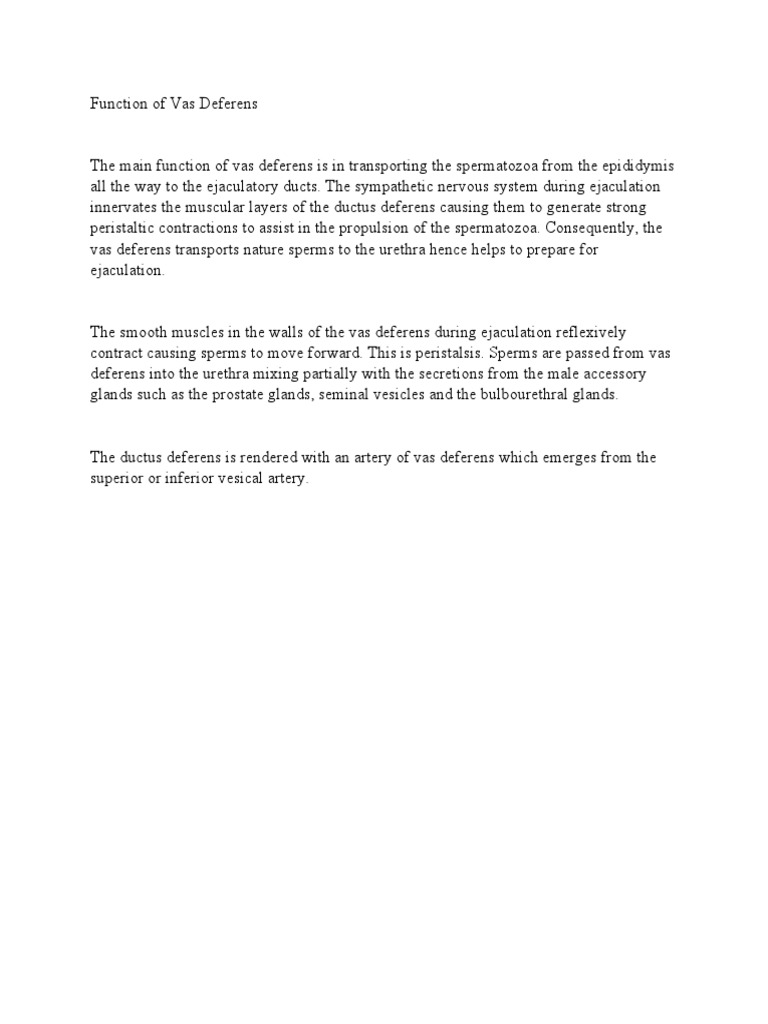 Science | PDF | Penis | Human Body