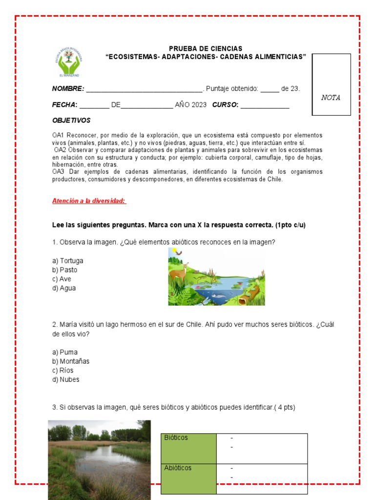 Adaptaciones en Ecosistemas y Cadenas Alimenticias | PDF | Ecosistema ...