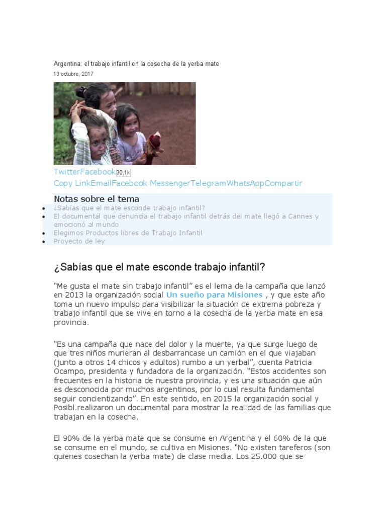 El Trabajo Infantil en La Cosecha de La Yerba Mate (Nodal) | PDF ...