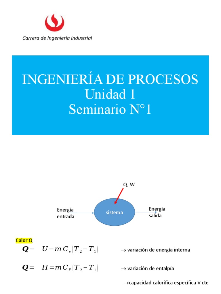Ingeniería de Procesos Unidad 1 Seminario N°1 | PDF