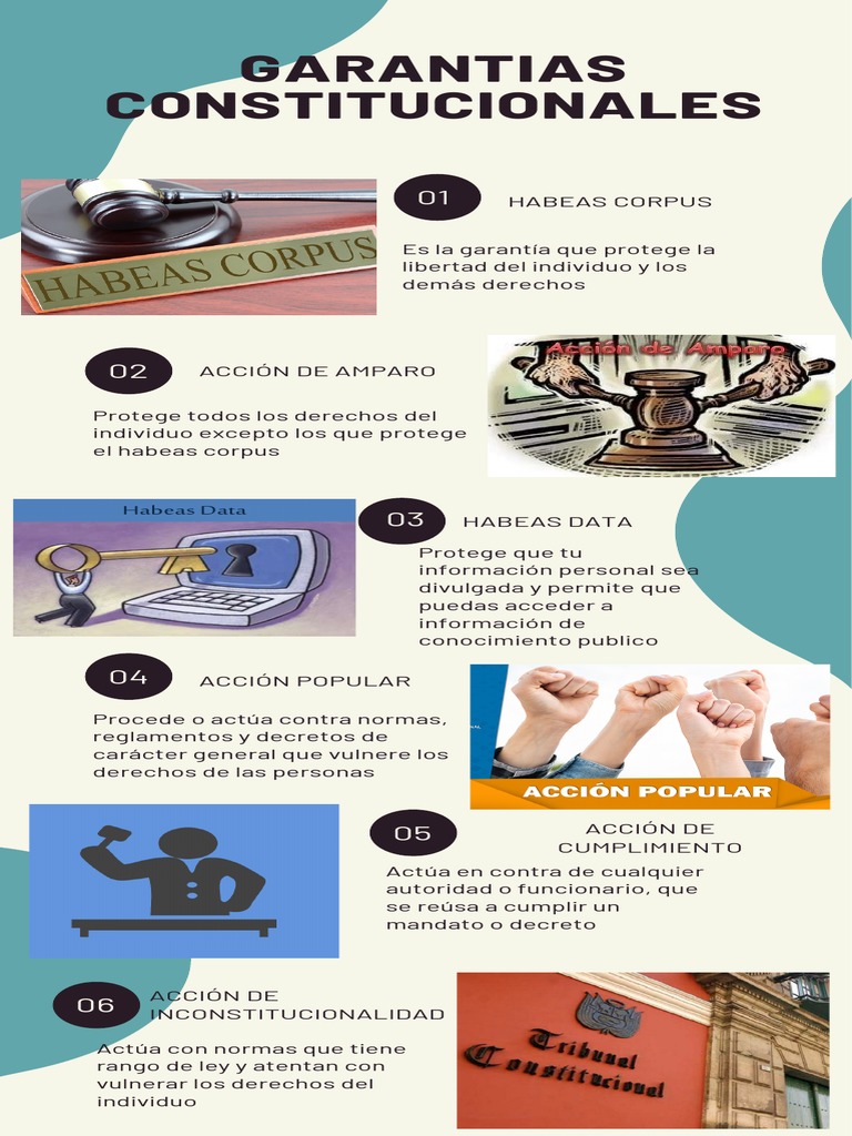 Garantias Constitucionales | PDF