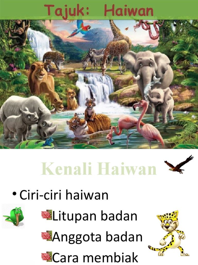 Kenali Haiwan | PDF