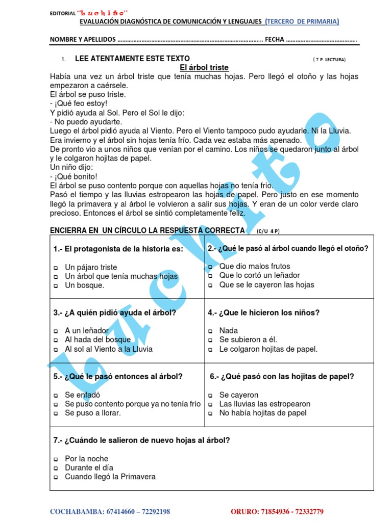 Lenguaje 3ro Diag. Nivelación | PDF | Estudios de idiomas extranjeros