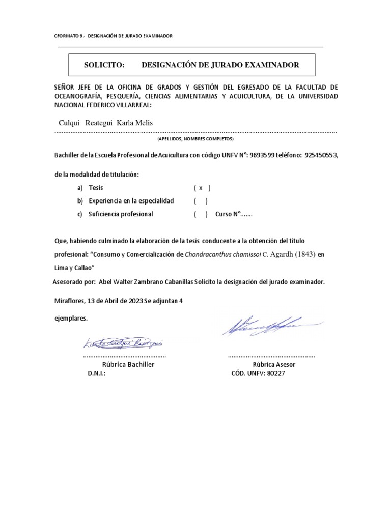 Solicito: Designación de Jurado Examinador: Culqui Reategui Karla Melis | PDF | Hogar ...