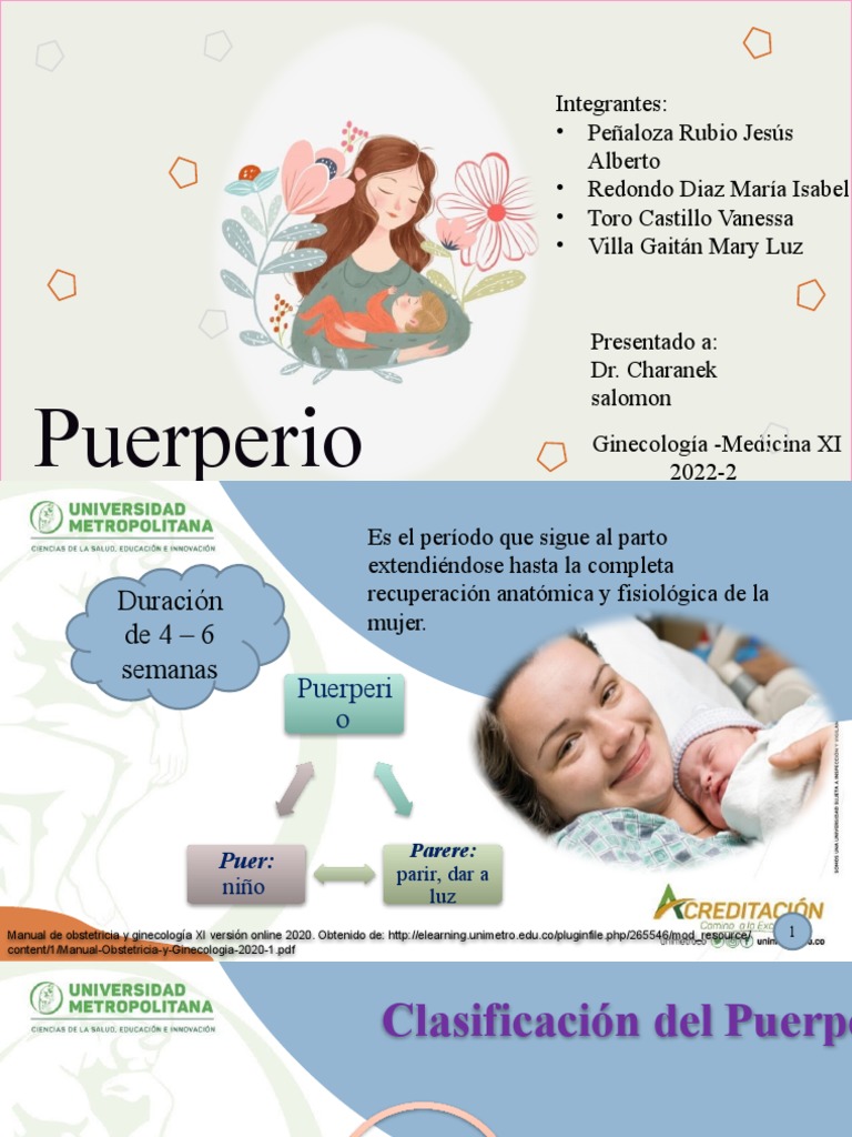 Puerperio Normal y Patologico Grupo # 10 | PDF | Periodo posparto | Parto