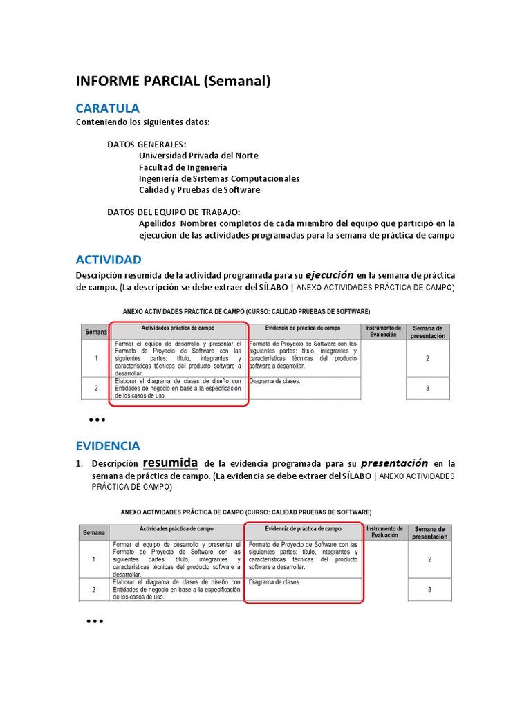 Modelo De Informe Parcial Pdf