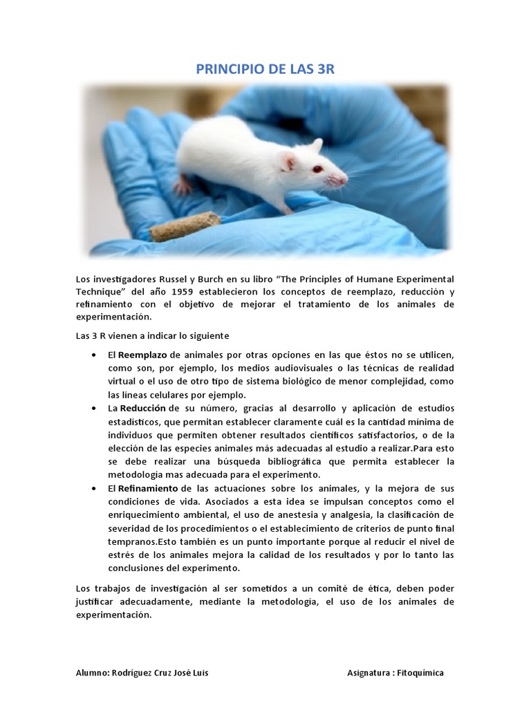 Principio de Las 3R | PDF