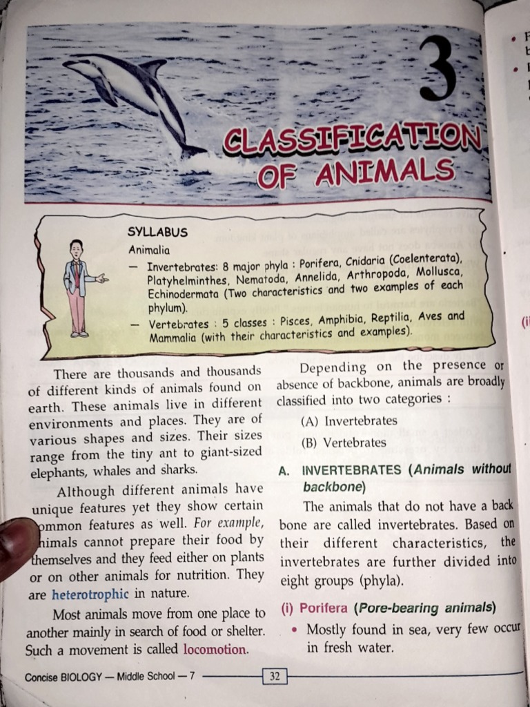 Thousands and The Presence Are Classified Into Two Inv T Rates | PDF ...