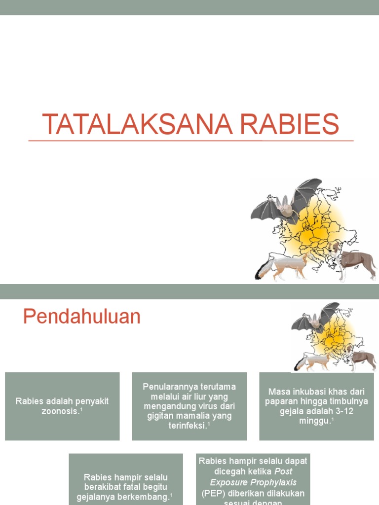 Tatalaksana Rabies | PDF