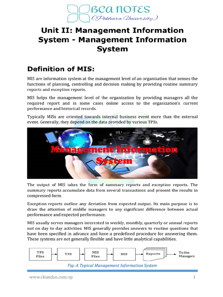 Management Information System | PDF
