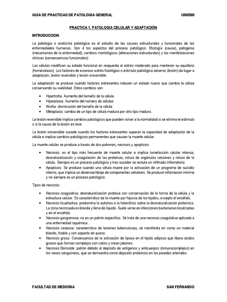 Guia de Practicas Patologia General | PDF | Inflamación | Sistema inmune