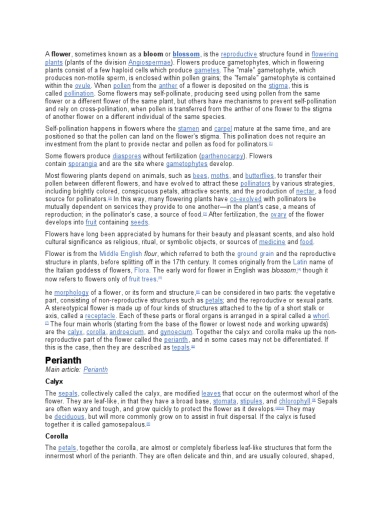 The Structure and Development of Flowers: An In-Depth Look at the Form ...